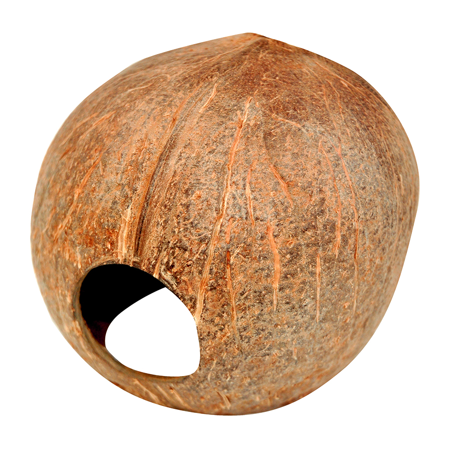 Lucky Reptile Coco Cave Variante 3/4 Kokosnuss