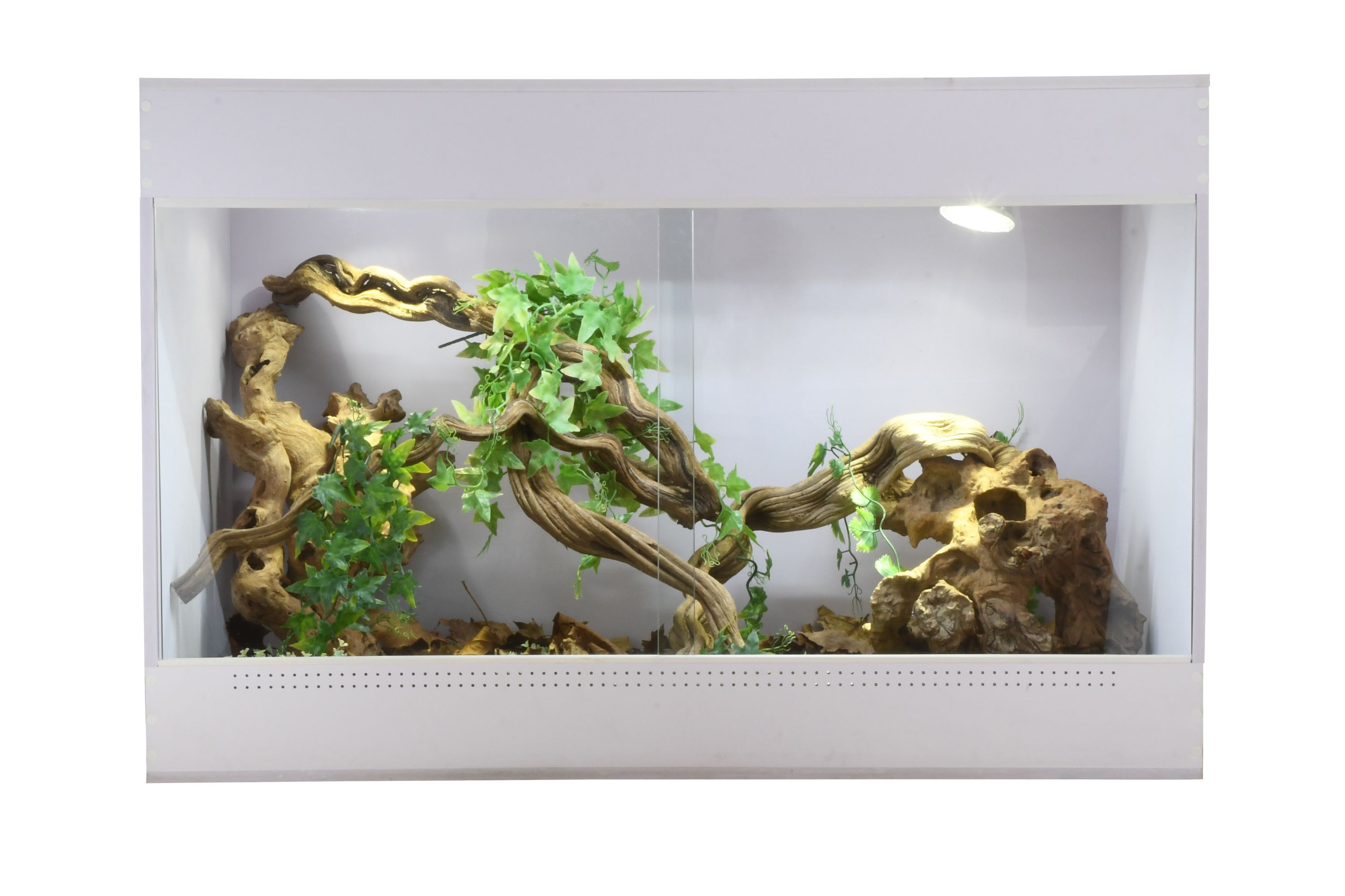 Lucky Reptile IsoTarrium Basic Terrarienmaße (B/T/H) 100 x 50 x 60 cm